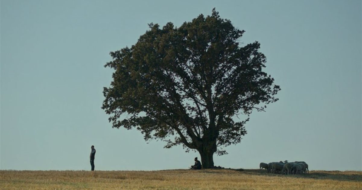 Le pèlerinage du paysan - Les sorties de Michel Flandrin